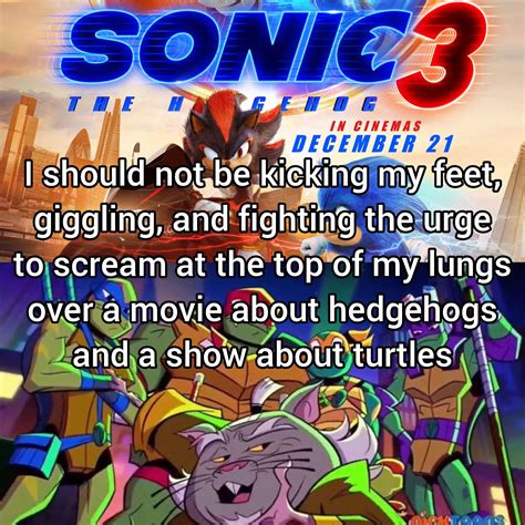 Help Me The Demons Are Wanting Me To Scream In 2025 Sonic Funny Tmnt