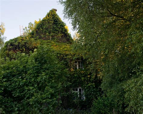 Through The Landscapes Of Youth With Robert Darch ~ Velvet Eyes