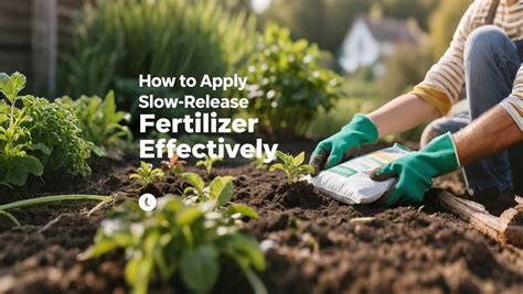 How To Apply Slow Release Fertilizer Effectively Risso