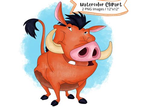 Pumba From Lion King Hand Drawn Watercolor Clipart Set Png High
