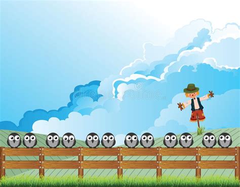 Sex Of Birds Stock Vector Illustration Of Determine 18615943