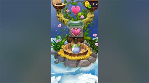 ВЫВЕЛ РЕДКУЮ КОНГУШКУ Youtube