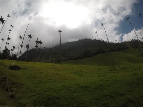 This Is Cocora Valley Colombia R Solotravel