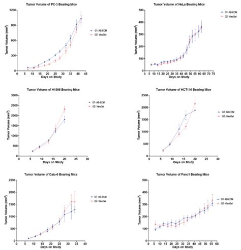 Cell Line Derived Xenograft Using Xeno Free Vitrogel System In