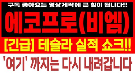 에코프로 에코프로비엠 긴급 테슬 실적 쇼크 여기 까지는 다시 내려갑니다 이거 모르면 급락 맞습니다 에코프로 에코프로비엠 Youtube