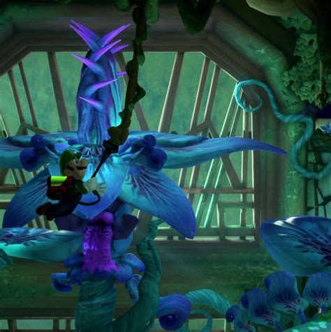 Luigis Mansion Boxart Screenshots And Artwork From E