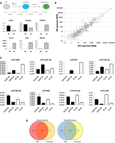 Differences In MiRNA Expression Of Human ESC HESCs And DE A Top