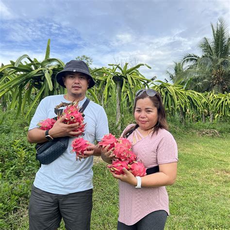 Ang Tae Ng Elepante Ay Ginagawang Kape Amg Tae Ng Elepante Ay Pinakamahal Na Kape
