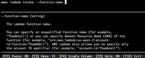 Super Charge Your Aws Command Line Experience With Aws Shell Aws Developer Tools Blog