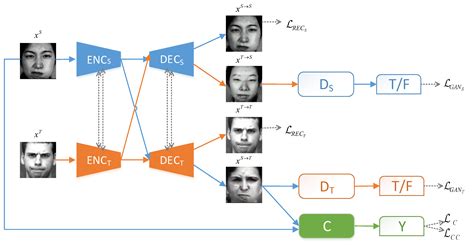 Unsupervised Domain Adaptation With Coupled Generative Adversarial Autoencoders