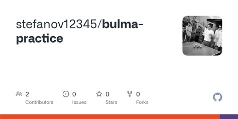 Github Stefanov12345bulma Practice