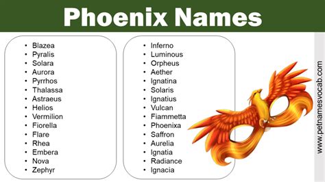 Phoenix Names Inspiring Choices For New Beginnings Pet Names Vocab