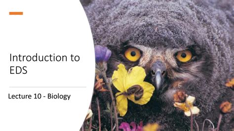 SOLUTION Lec Structure Of Cell Studypool