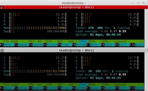 Monitoring Memory Usage Of A LXC Container Comparing 1 X Vs 2 X