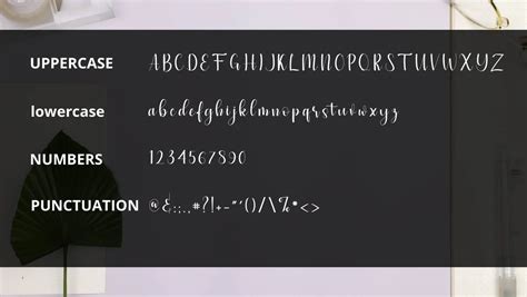 Simple Script Font Free Download