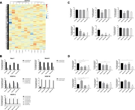 Screening And Validation Of Mirnas Associated With Hypoxic Exposure