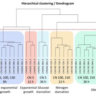 Principal Component Analysis Of The RNA Seq Dataset Showing The Download Scientific Diagram