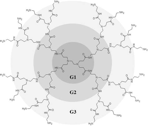 Chemical Structure Of Polyamidoamine Dendrimer With Three Generations Download Scientific
