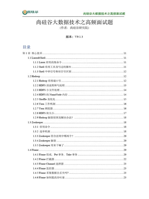 尚硅谷大数据技术之高频面试题 Pdf