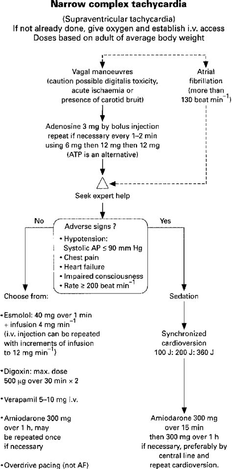 Algorithm For Narrow Complex Tachycardia Download Scientific Diagram