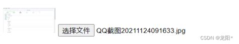 使用jquery或vue实现图片上传实时回显在页面img标签上input标签和jquery实现多图片的上传和回显功能 Csdn博客
