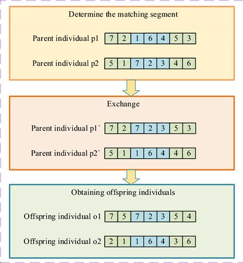 partial matching crossover process download scientific diagram