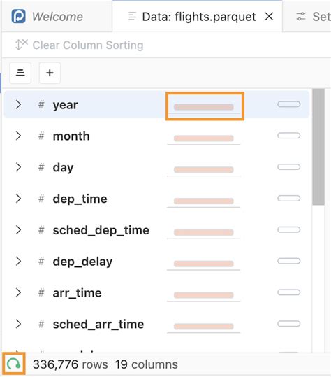 Data Explorer Positron