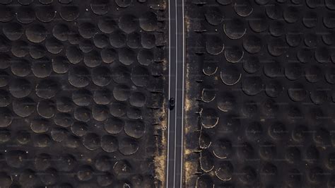 화산 검은 모래 땅에서 와인을 생산하는 많은 구멍이 있는 패턴 풍경 대체 풍경의 공중 보기 라제리아 란사로테 와인 산지 농업 사업 사진 Unsplash의 스페인 이미지