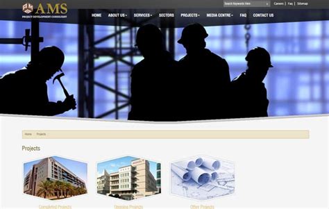 AMS Project Management Consultancy Website Design CANADA HITECH