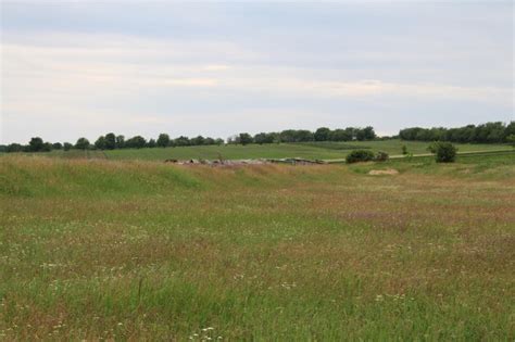 A Field Of Grass And Trees Premium Photo