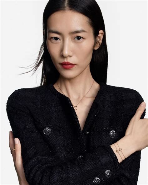 Picture Of Liu Wen