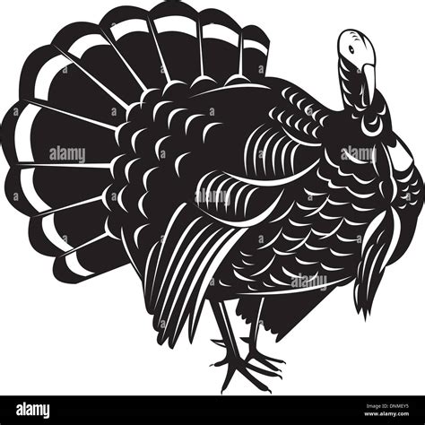 Illustration Of A Wild Turkey Done In Retro Style On Isolated White