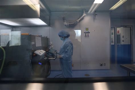 Enrichment Of Sars Cov 2 T Cells May Be A Treatment For The Virus Infobae