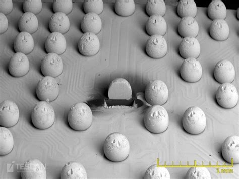 Ball Grid Array Tescan Wide Range Of Possibilities For Inspection