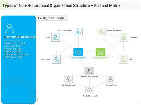 Developing Work Force Management Plan Model Types Of Non Hierarchical