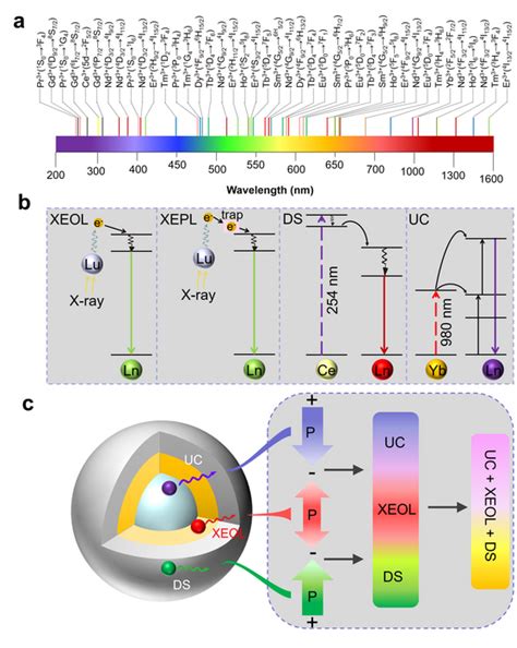 Lanthanide Doping Could Help With New Imaging Eurekalert