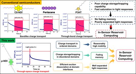 Wearable In Sensor Reservoir Computing Using Optoelectronic Polymers