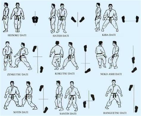 Shotokan Armas Bases E Defesas Do KaratÊ