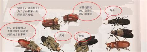粮食招蚰子怎么办 小麦蚰子如何去除 蚰子图片 大山谷图库