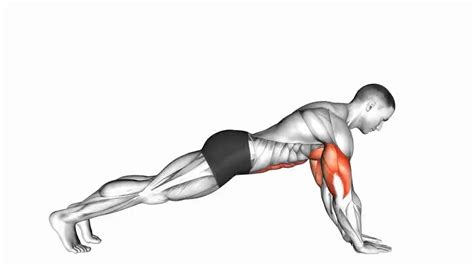 Push Up On Forearms Video Guide Lyfta