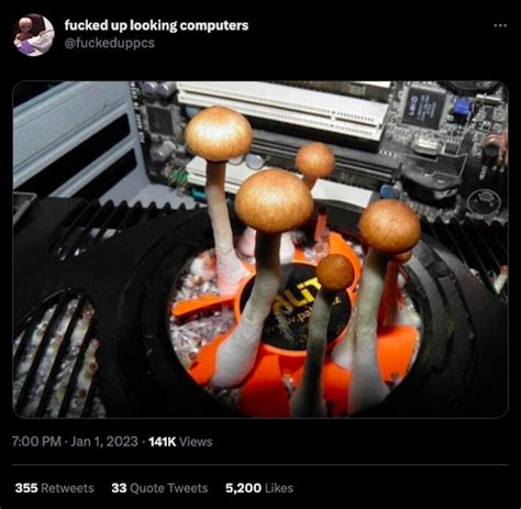 Cursed Computers Are Brains Are Having Trouble Processing