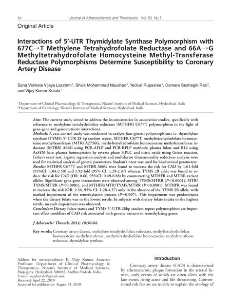 Pdf Interactions Of 5 Utr Thymidylate Synthase Polymorphism With 677c → T Methylene