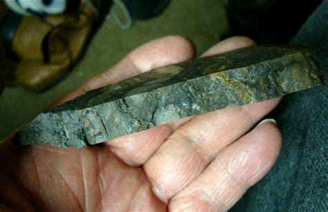 Rare Sleeper Mine Cut Slab 12 Gold Colloform Bands Some Discontinuous 75 2g 3917526825