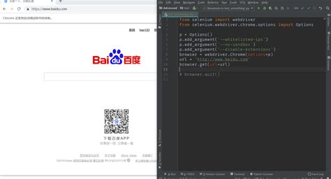 Python Selenium Chrome 打开浏览器时没有url Segmentfault 思否