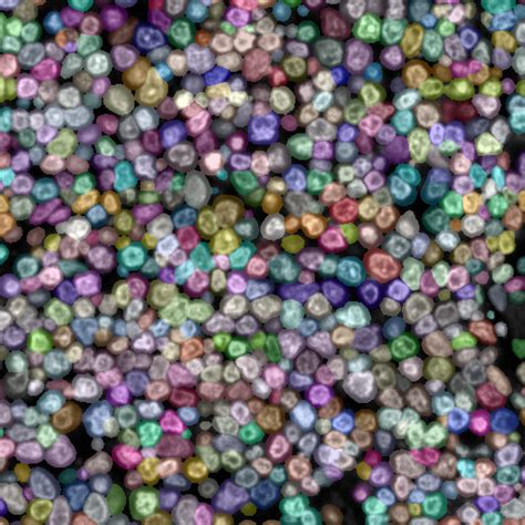 Review How Good Is Instanseg At Segmenting Nuclei Image Analysis