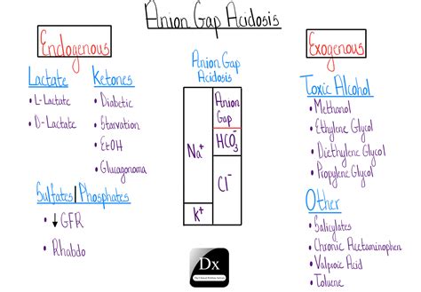 Dx Schema Metabolic Acidosis The Clinical Problem Solvers