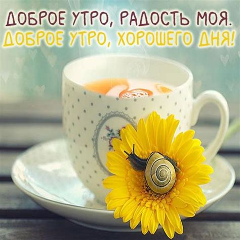 Картинка доброе утро доченька хорошего дня скачать бесплатно