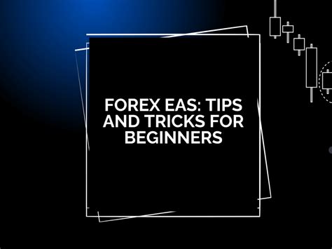 risk management techniques with mt5 helping traders forex ea coder