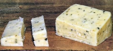 재밌는 치즈 이야기