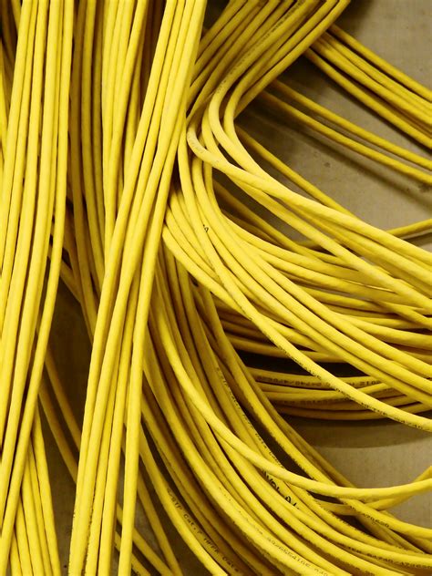 무료 이미지 과학 기술 꽃 식품 생기게 하다 수확고 노랑 닫다 회로망 매크로 사진 이전 데이터 케이블 데이터 전송 Edp 네트워크 케이블 전기